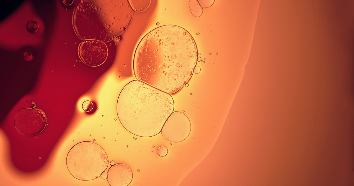 Forbion media resources | Forbion