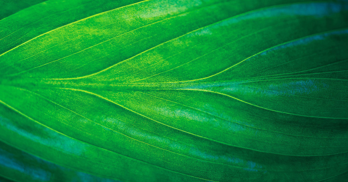 Forbion Growth | Forbion